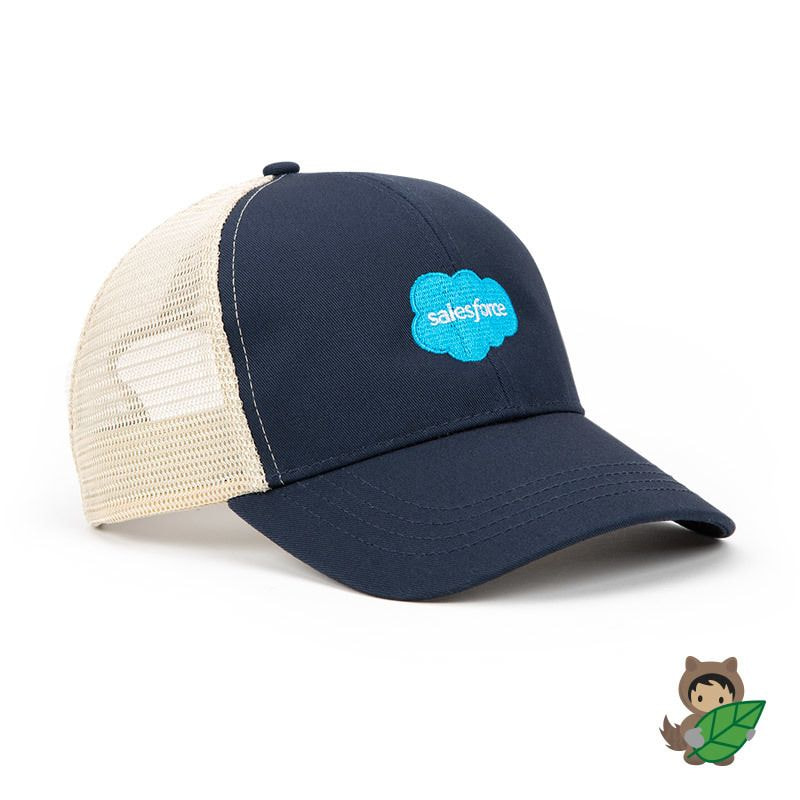 36 Best Company Swag Ideas to Make Your Brand Stand Out | Printful